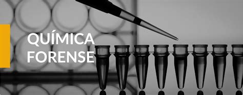 Instituto De Ciencias Forenses Quimica Forense
