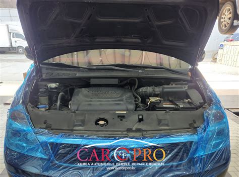 그랜드카니발 흡기크리닝 인젝터크리닝 Dpf크리닝 올뉴카니발 카프로샵