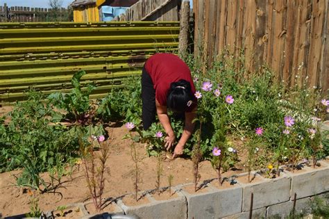 СХС гийн хяналтын зөвлөл төсөл хэрэгжүүлэгчдийн үйл ажиллагаанд хяналт тавих ажлыг зохион байгууллаа