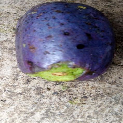 Val Cracked Object Detection Dataset By Plum Sorting