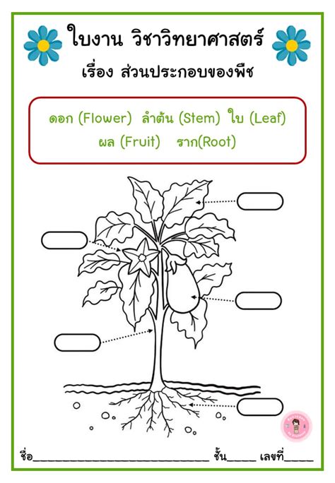 🌟 แบ่งปัน ใบงานเรื่อง สื่อการสอน ʙʏ ᴋʀᴜᴊᴇɴɴʏ