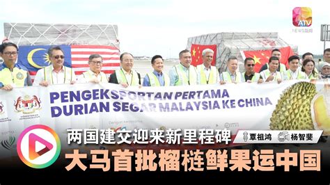 马中 榴梿外交”再攀高峰 大马首批榴梿鲜果运中国 Youtube