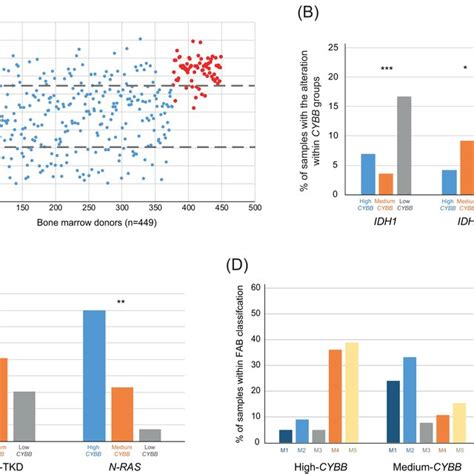 Fab Classification Runx1‐runx1t1 Translocation And Idh1 Idh2