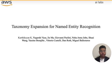 taxonomy expansion for named entity recognition video underline
