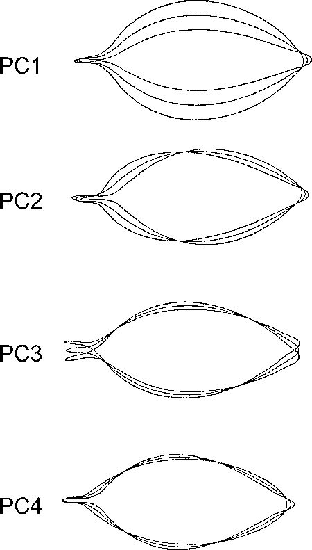 Aspects Of Leaf Shape Variation That Can Be Accounted For By Each Download Scientific Diagram