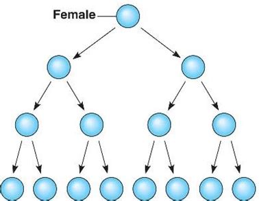 Sex And Mating Flashcards Quizlet