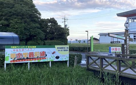 Hamusi