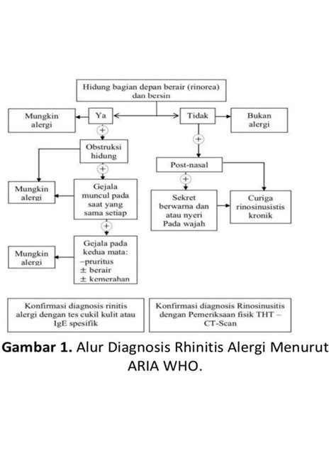 Diagnosis Rhinitis Alergi Pdf