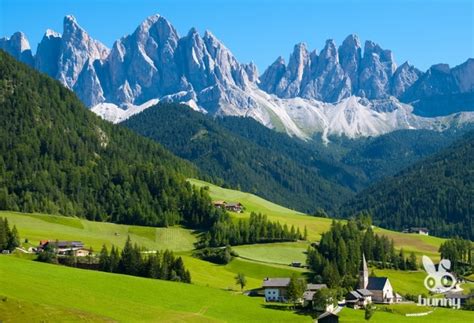 Швейцарь орны тухай таны “мэдэхгүй 15” зүйл Мэдээ мэдээлэл Монголын иргэн бүрд ажлын байр