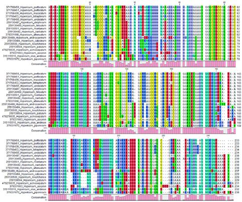 Alignment Of Panel Species Its2 Sequences With Rna Secondary Structure