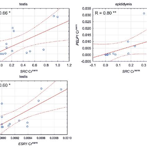 Dot Plot Of The Participants Age And Correlation In Testis And