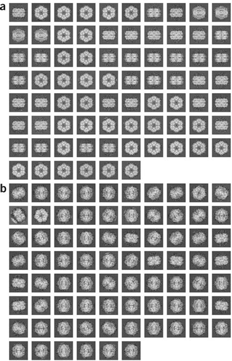 Amplitude Enhancement Profiles A Profiles Of Fourier Shell Download Scientific Diagram