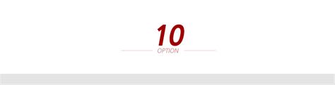option_10.jpg