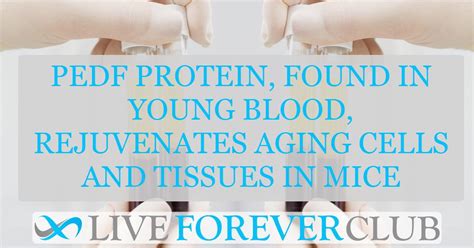 Pedf Protein Found In Young Blood Rejuvenates Aging Cells And Tissues