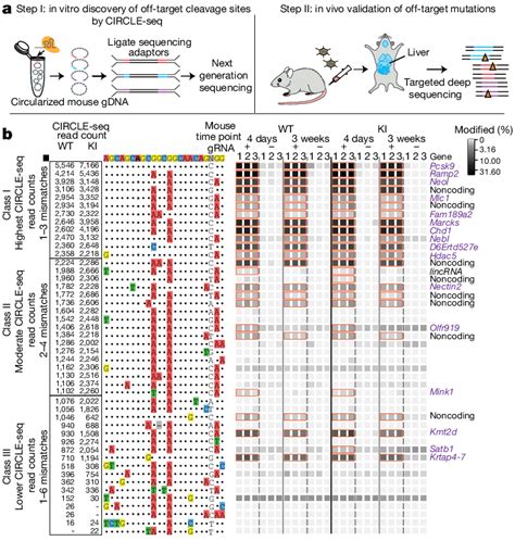 Overview And Validation Of Vivo A Schematic Illustrating The Download Scientific Diagram
