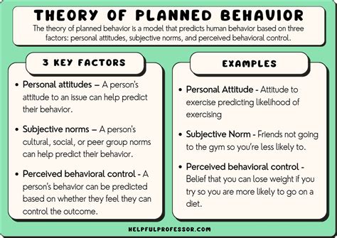 15 Theory Of Planned Behavior Examples 2026