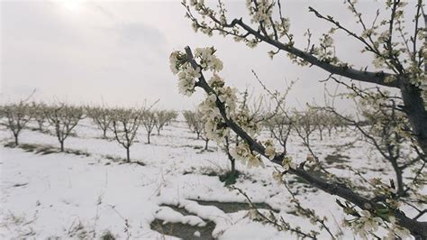 Active Impactful Weather Patterns Continue To Challenge ‘plant 23