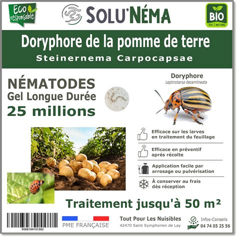 Tout Pour Les Nuisibles Solunema Nématodes Contre Les Doryphores De
