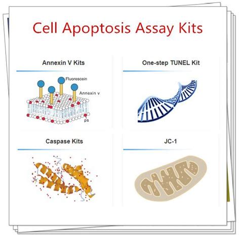 Cell Apoptosis Assay Kits