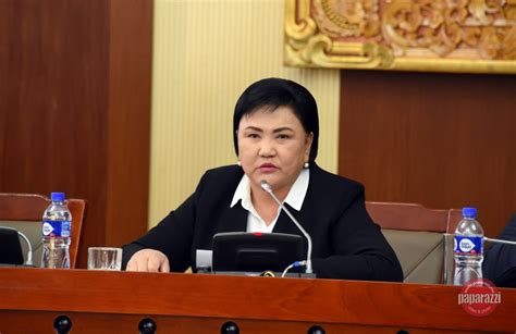 Д Оюунхоролыг Хөшигийн хөндийн нисэх онгоцны буудал дахь Засгийн газрын бүрэн эрхт төлөөлөгчөөр