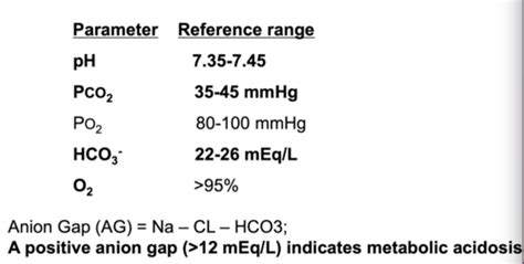 Lecture 4 Flashcards Quizlet Lecture 4 Flashcards Quizlet