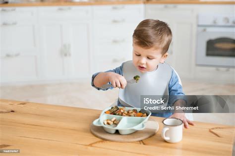 귀여운 백인 유아 소년은 포크를 사용하여 브로콜리를 스스로 먹는다 자가 먹이 개념입니다 ᄏ 아이는 아늑한 부엌의 높은 의자에 고기와 함께 건강한 야채를 먹습니다 복사 공간