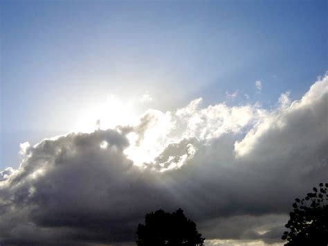 Picture Help Web Design And Development Neowin