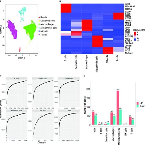 Cell Populations And Gene Expression Level In PD Effluent A Heatmap