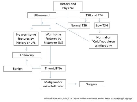 Cancerous Thyroid Nodules Characteristics