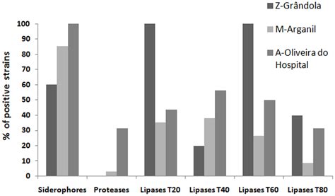 Production Of Siderophores And Proteolytic Activity Of The Bacteria Download Scientific Diagram