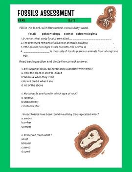 Fossil Assessment By ChaosHomebabeing TPT