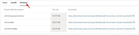 java virtual machine jvm download and install for windows 10 8 7