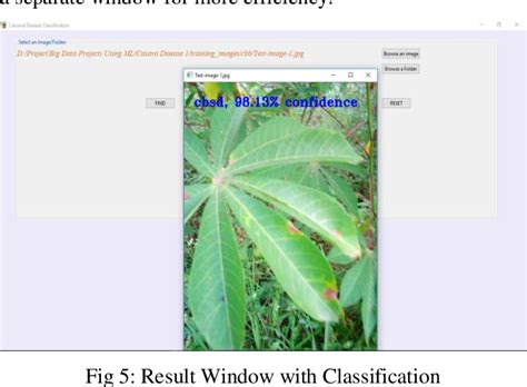 Figure 1 From Cassava Disease Classification Using Deep Learning Algorithms Semantic Scholar
