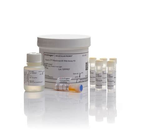 Invitrogen Quant It Ribogreen Reagent And Rna Assay Kit 1 Kit Buy
