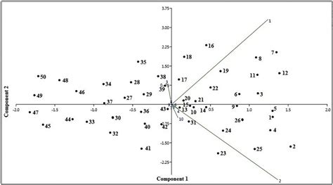 PCA Biplot Diagram Illustrating The Grouping Of The 50 Individual Download Scientific Diagram