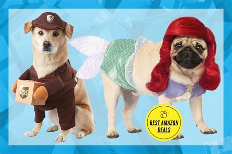 Amazon Prime Dog Costumes At Maddison Loch Blog
