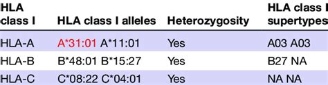 Classical Hla Class I Genotype Of The Patient Download Scientific Diagram