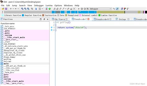 Pwn05（应对简单栈溢出的常规套路）ctfshow Pwn05 Csdn博客