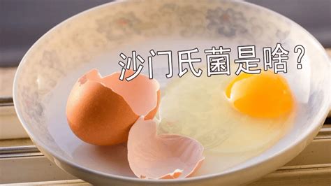 科普食源性疾病第一凶手沙门氏菌 粪便 污染 动物