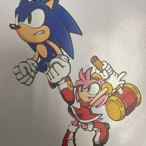 Sonic And Amy Rose Sonic The Hedgehog Sticker Laptop Sticker Water