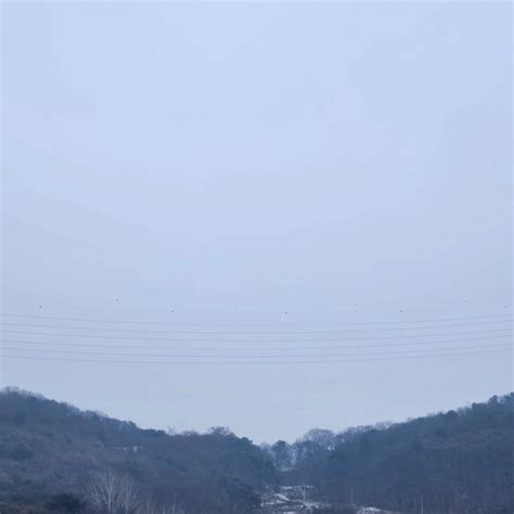 잿빛 하늘 유난히 짙은 안개의 색을 닮은 오늘 당신의 얼굴은 내 손끝에 비누 거품을 품고 물빛 속으로 가만히 닿아 빛의 조각을 되찾아 드리고 싶습니다 다시 눈가에 웃음의