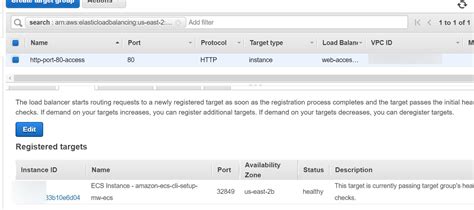 Amazon Web Services Is It Possible To Run Multiple Web Instance In