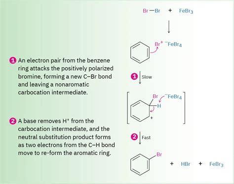 32 Electrophilic Aromatic Substitution Reactions Bromination