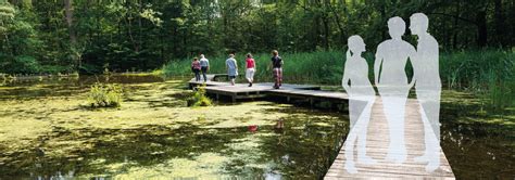 Barbara Van Dijk Land Id