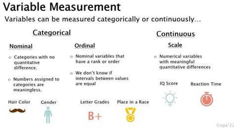 Exam 1 Stattisitc Lab Review Questions Flashcards Quizlet