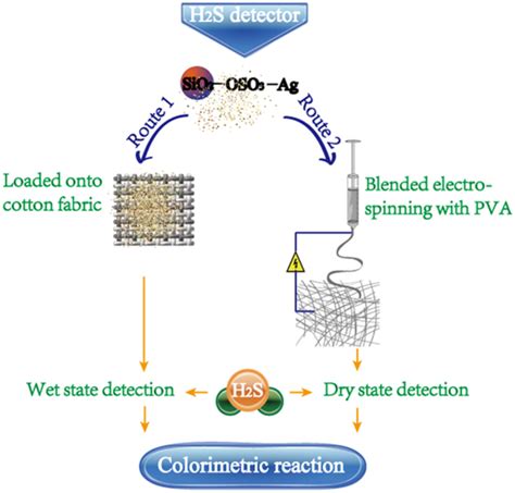 Functionalized Organicinorganic Hybrid Composites Used As Colorimetric Chemosensors For