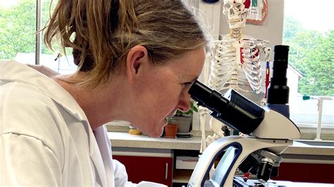 Swift Sw380t Trinocular Compound Microscope Review Live Science