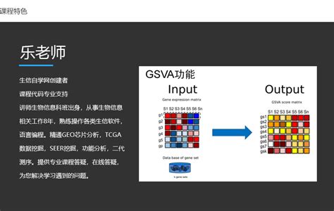 gsva基因集变异分析 学习视频教程 腾讯课堂