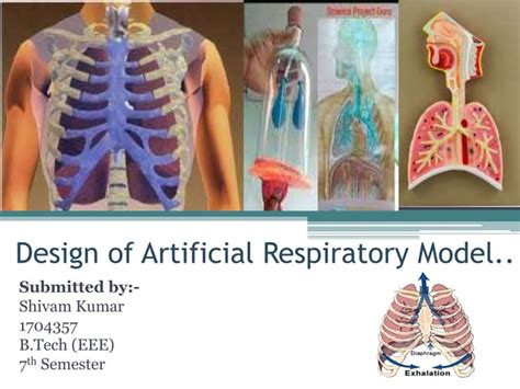 Design Of Artificial Respiratory Model Ppt
