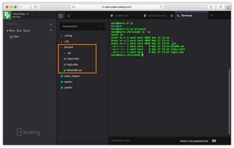 Using Github